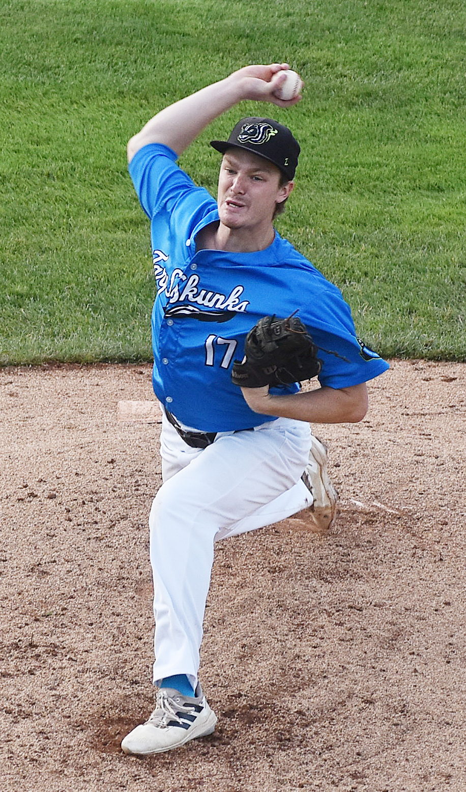 Tarp Skunks Shut Out Auburn | News, Sports, Jobs - Post Journal